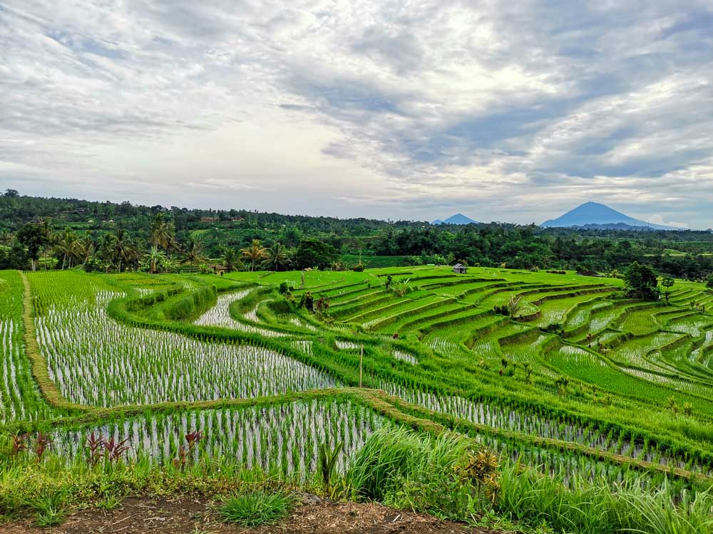 Viaggio a Bali, 10 cose da vedere - Chapka Assurances