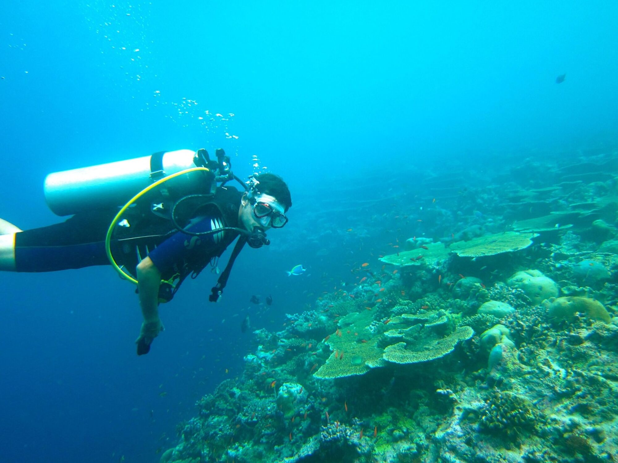 I 9 migliori posti dove fare immersioni nel mondo